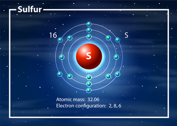 Diagram representation of the element sulfur Vector Image