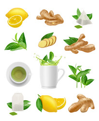 Ginger lemon red onion Royalty Free Vector Image