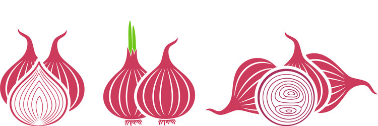 Onion flat design icon Royalty Free Vector Image