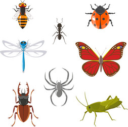 Insect Vector Images (over 190,000)