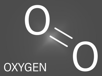 Elemental oxygen o2 molecule skeletal formula Vector Image