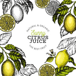 Lemon border drawing citrus fruit frame Royalty Free Vector