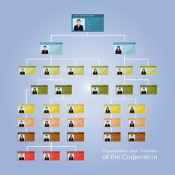 Corporate organization chart template business Vector Image