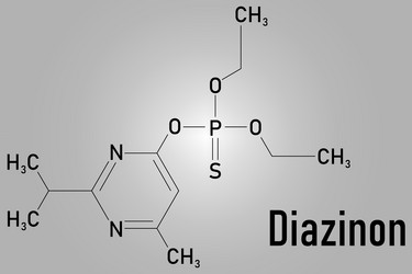 Diazinon or dimpylate molecule skeletal formula Vector Image