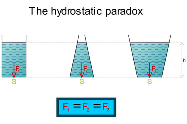 Hydrostatic paradox Royalty Free Vector Image - VectorStock