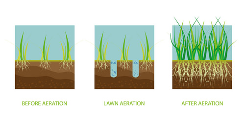 Lawn aeration gardening grass care Royalty Free Vector Image