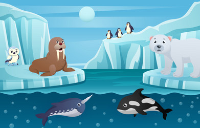 Antarctic scene with many animals Royalty Free Vector Image