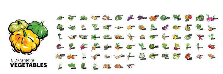 Vegetables set Royalty Free Vector Image - VectorStock