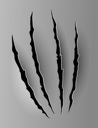Bear or tiger claw mark scratches and torn traces Vector Image