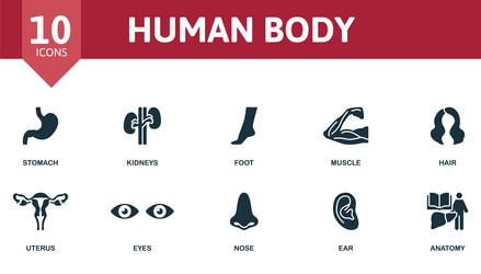 Human body parts icons set colored element from Vector Image