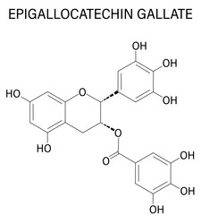Gallic Acid Vector Images (23)