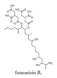 Mycotoxin Vector Images (59)