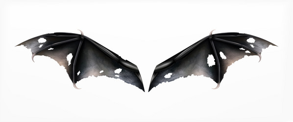 Bat Wings Vector Images (over 11,000)