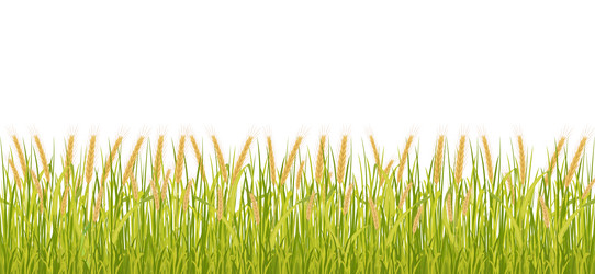 Agriculture Border Vector Images (over 4,300)