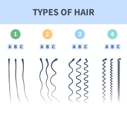 Straight hair type chart of strands growth pattern