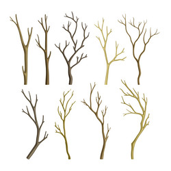 Bare tree branch or twigs with naked stem and snag