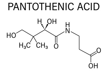 Panthenol Vector Images (46)