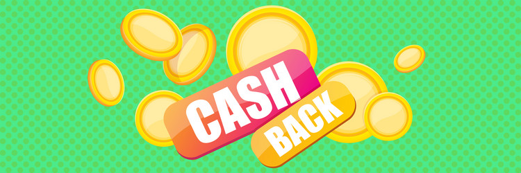 Cash back horizontal banner design template Vector Image