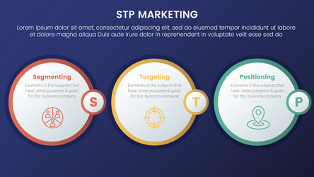 Stp marketing strategy model for segmentation Vector Image