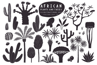 Fun hand drawn african plants and trees design Vector Image