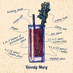 Bloody mary cocktail Royalty Free Vector Image