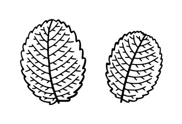 Mint Outline Vector Images (over 7,600)