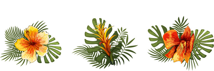 Dried boho flowers compositions Royalty Free Vector Image