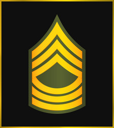 Military ranks and insignia stripes chevrons Vector Image