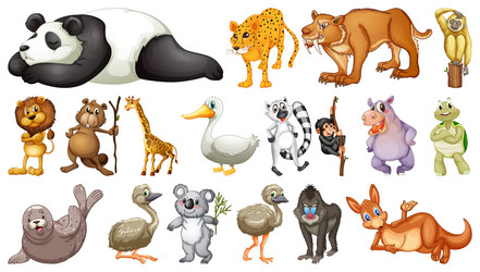 Cartoon animals Royalty Free Vector Image - VectorStock