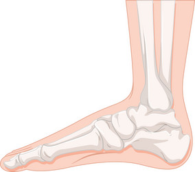 Human foot cartoon isolated Royalty Free Vector Image