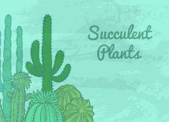 Cacti Background Vector Images (over 14,000)