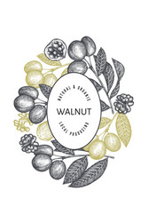 Detail logo walnuts designs cartoon Royalty Free Vector