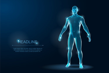 3d wireframe human body Royalty Free Vector Image