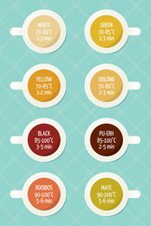Tea varieties brewing time and temperature Vector Image