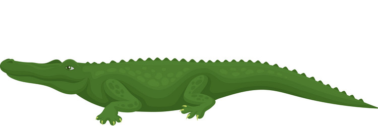 Crocodile Side View Vector Images (61)