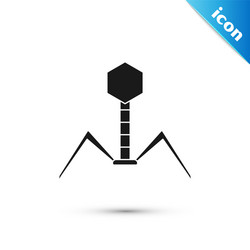 Phage Vector Images (87)