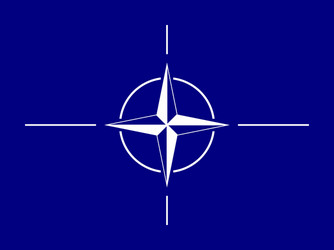 Flag Nato Compass Vector Images (49)