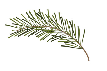 Spruce Tree Cartoon Vector Images (over 9,300)