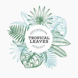 Aloha hawaii card design with tropical palm leaves