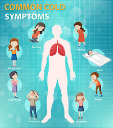 Common cold symptoms cartoon style infographic Vector Image