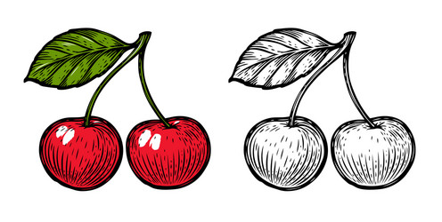 Vintage Cherry Engraving Royalty Free Vector Image