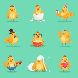 Little yellow chicken chick different emotions Vector Image