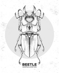 Hand drawing of two artistic easels isolated Vector Image