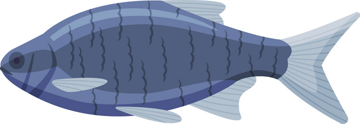 Tilapia Vector Images (over 610)