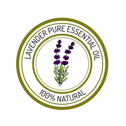 Lavender elegant card Royalty Free Vector Image