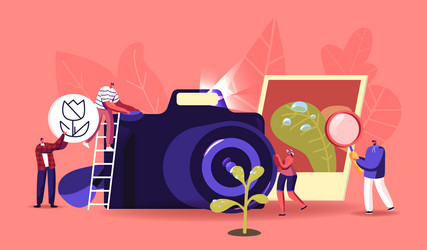 Photo Shoot Vector Images (over 20,000)