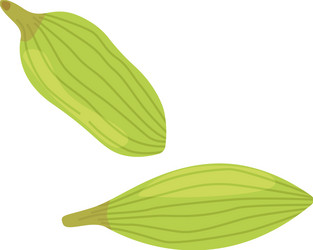 Cardamom Seed Vector Images (over 1,100)