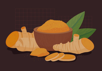 Dry Ginger Vector Images (over 500)