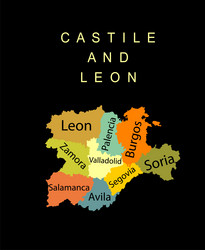 Autonomous community castile and leon map Vector Image