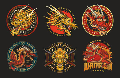Dragon fight club set sticker Royalty Free Vector Image